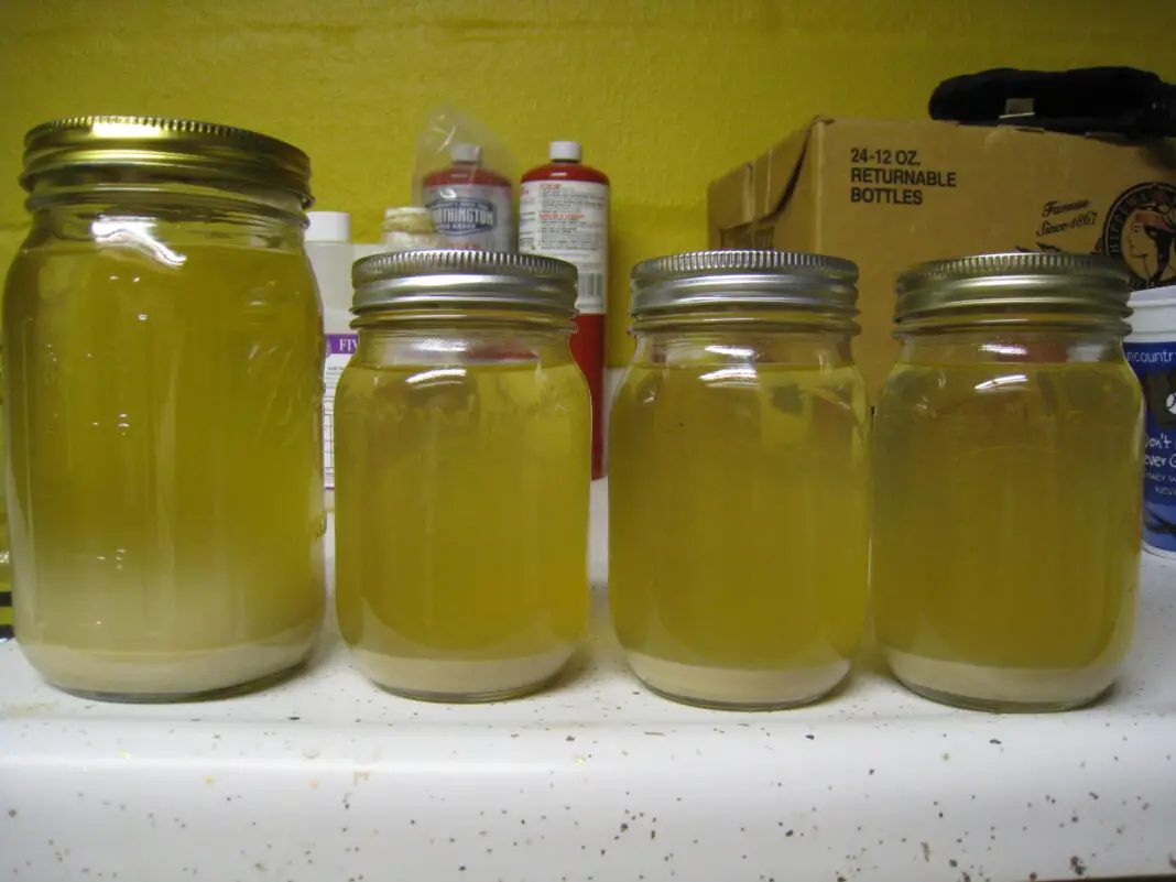 What is the Best Method to Harvest & Reuse Yeast? Yeast Rinsing, Top ...