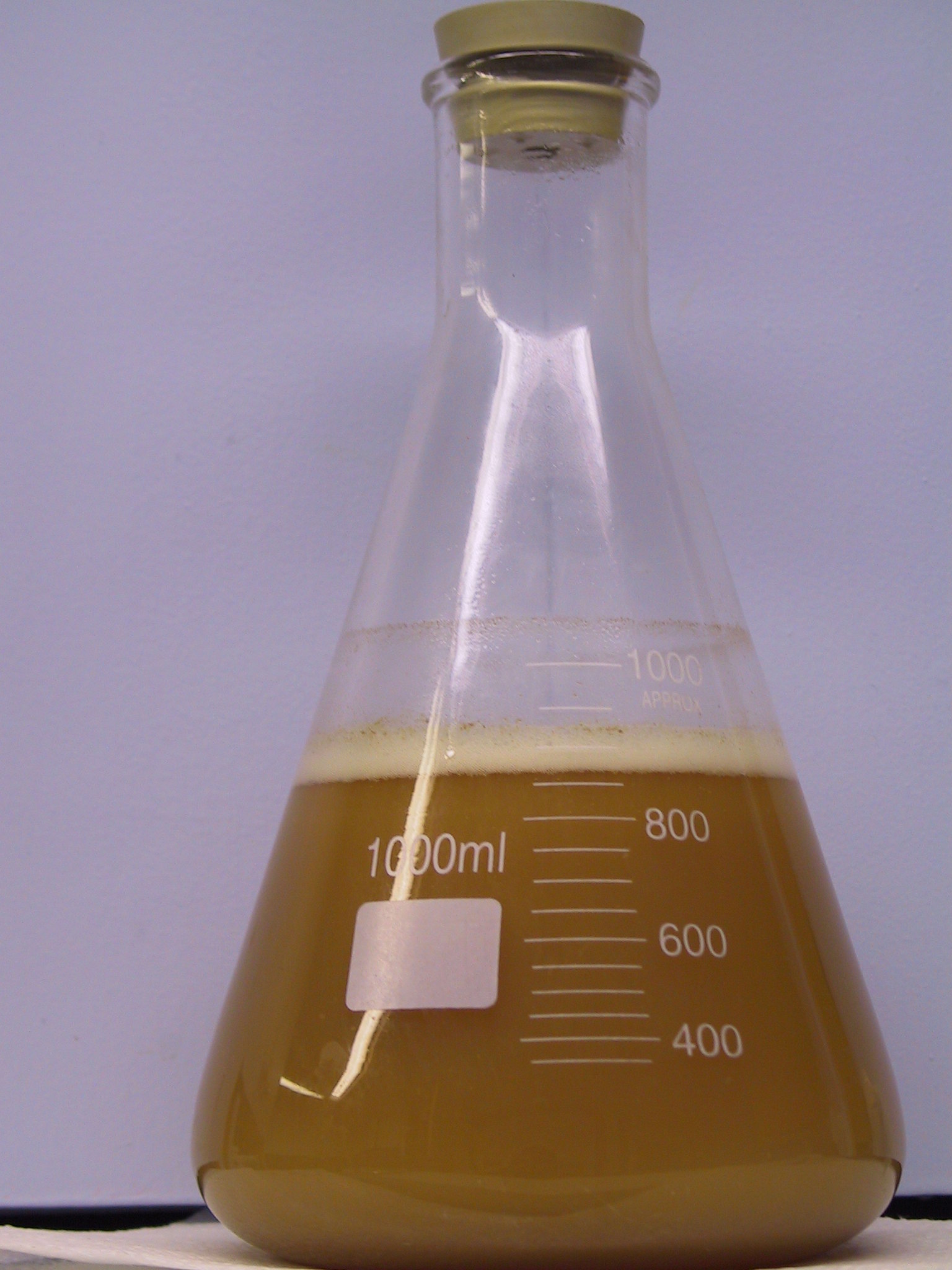 What is the Best Method to Harvest & Reuse Yeast? Yeast Rinsing, Top ...